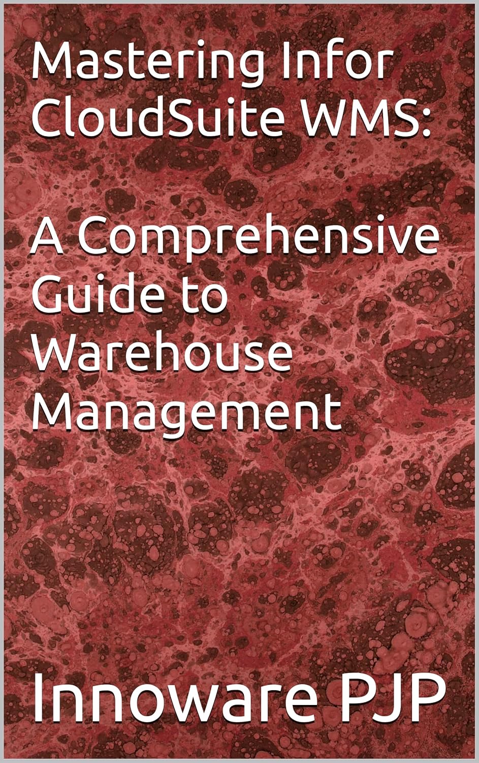 Mastering Infor CloudSuite WMS: A Comprehensive Guide to Warehouse ...