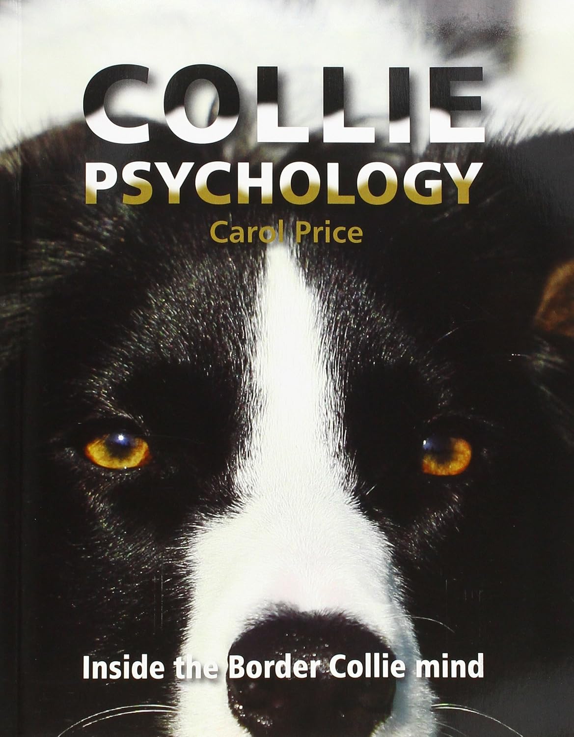 Collie Psychology: 9781910488485: Amazon.com: Books
