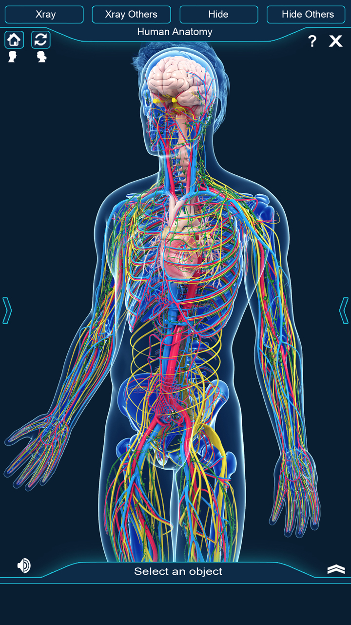 Human Anatomy - Application sur Amazon Appstore