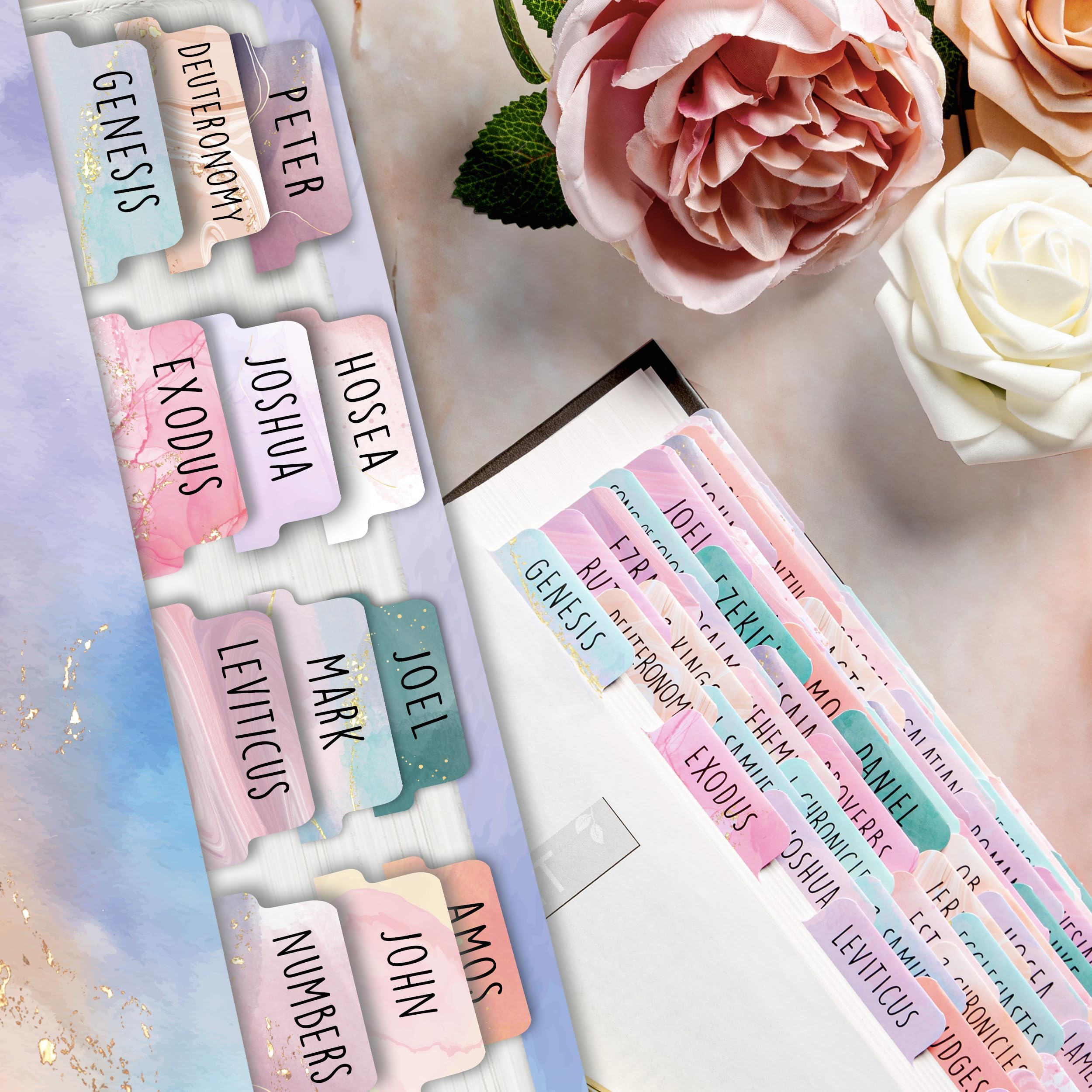 Amazon.com : Laminated Bible Tabs Bible Index Tabs Old and New ...