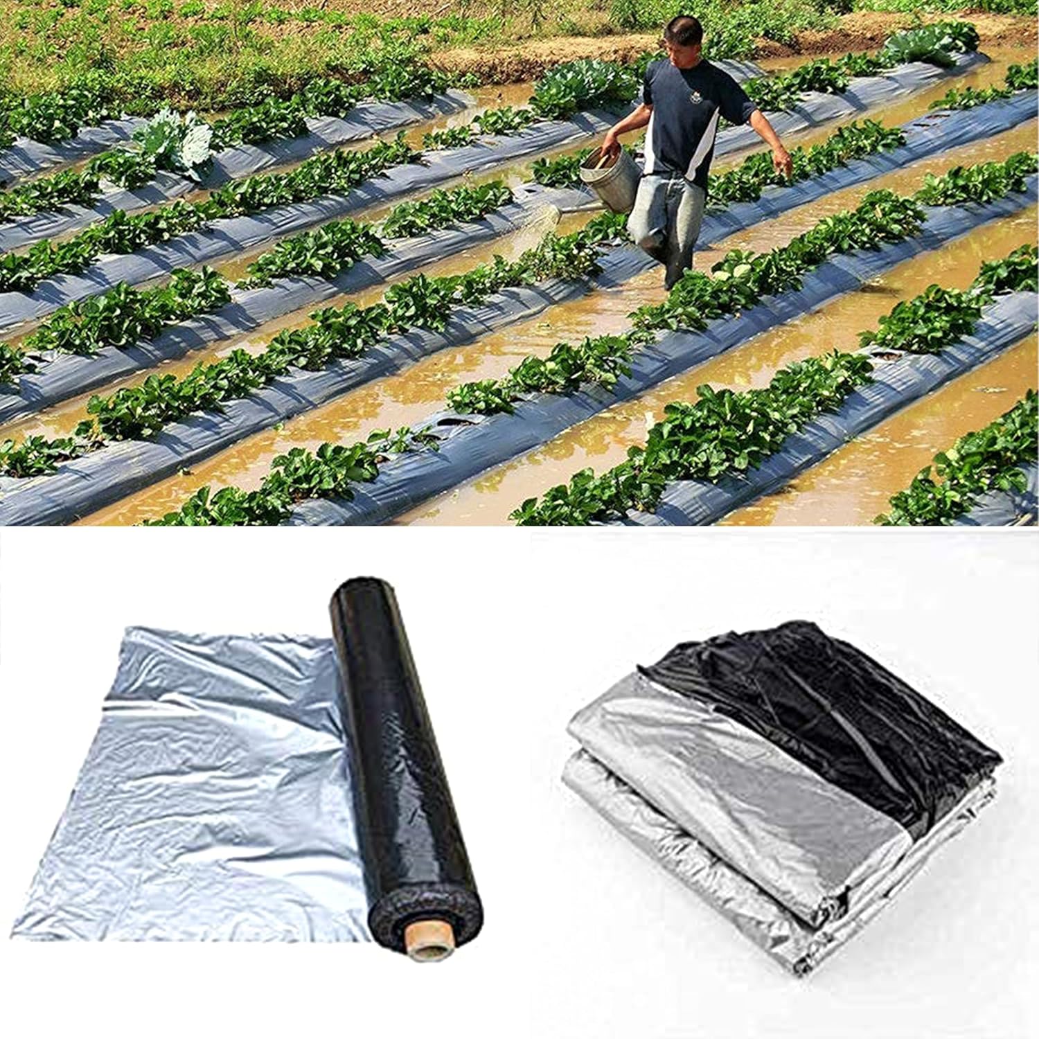 Buildingshop Mulching Sheet for Agriculture - (20 Micron (1 Mtr X 400 ...