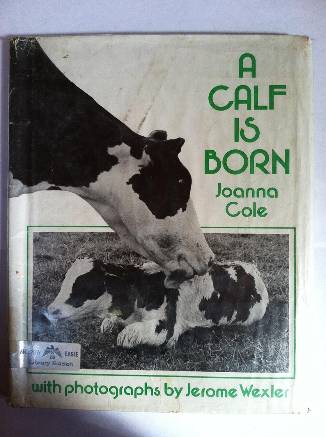 A Calf Is Born: Joanna Cole, Jerome Wexler: 9780688320362: Amazon.com ...