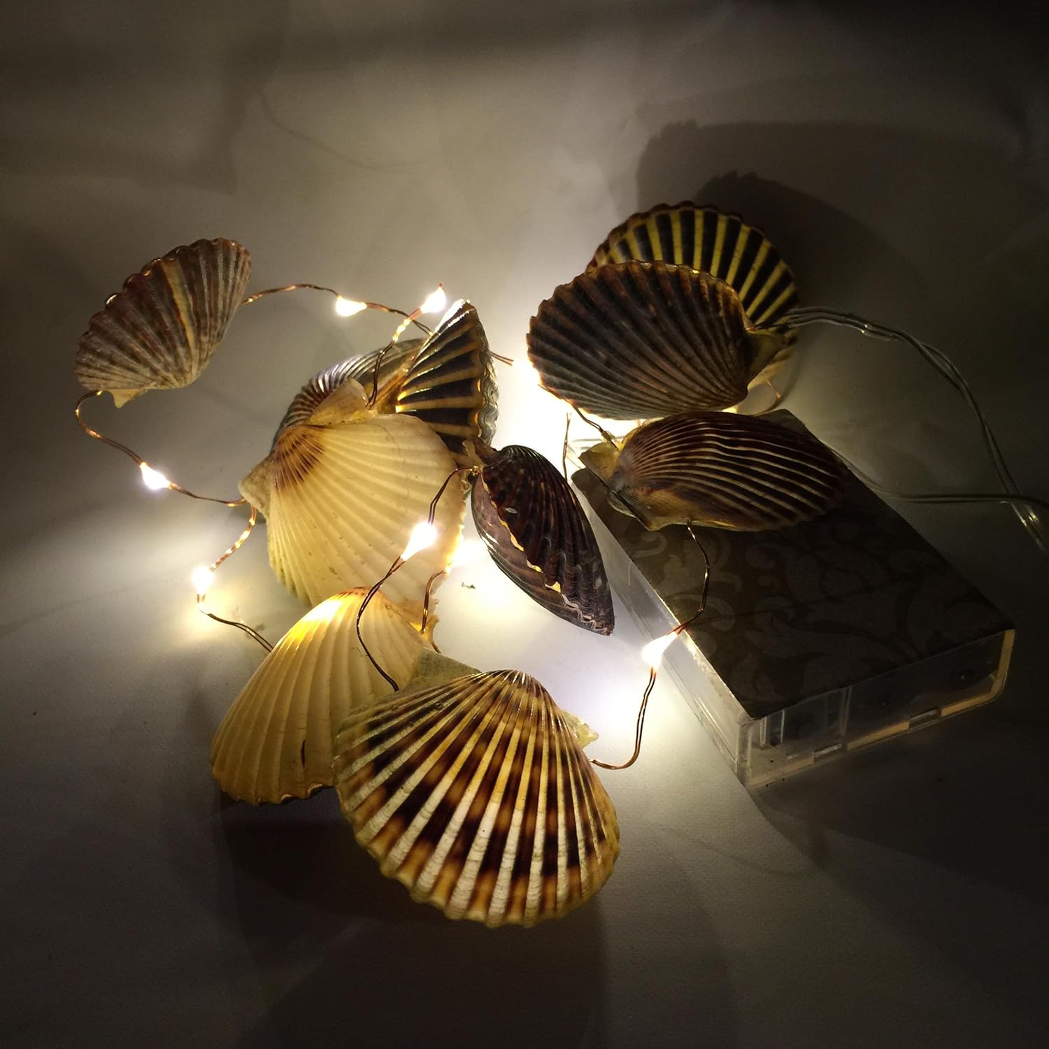 Amazon.com: Handmade Scallop Shell Lights : Handmade Products