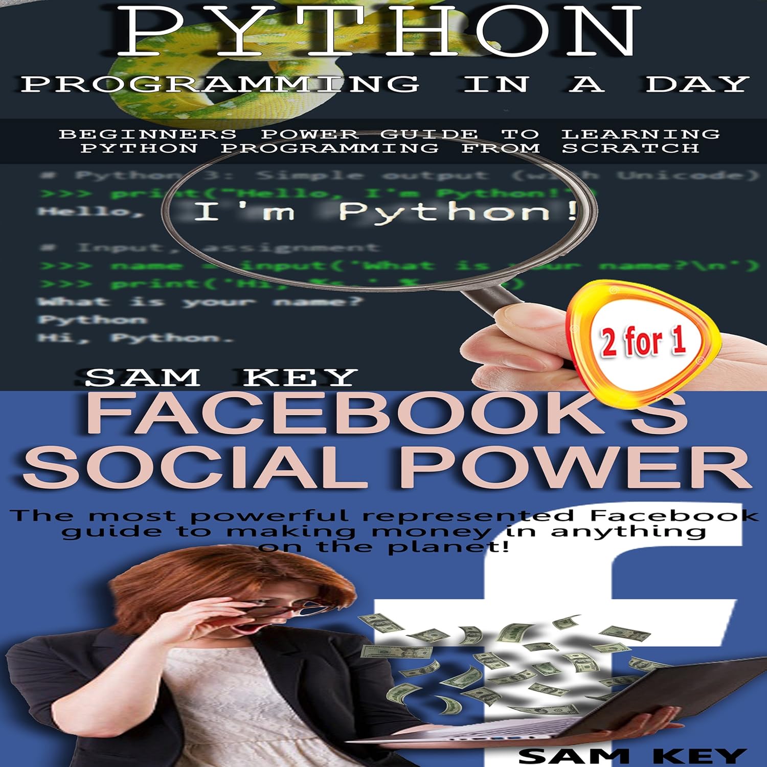Amazon.com: Python Programming Professional Made Easy & Facebook Social Power: Programming #43 ...