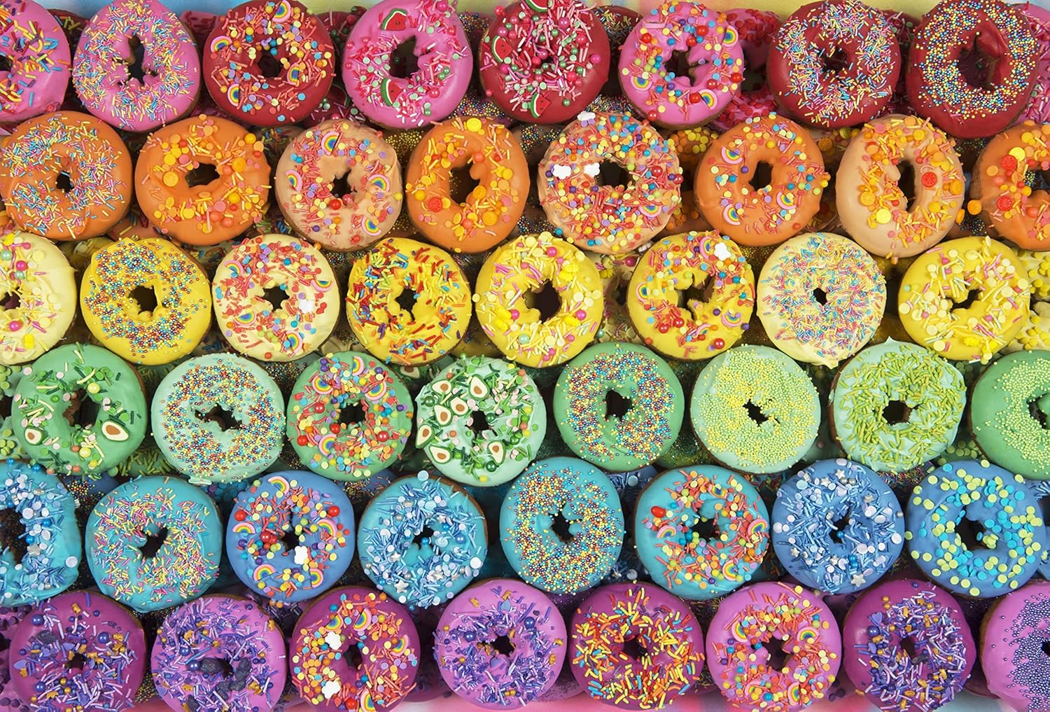 Amazon.com: Rainbow Donut Jigsaw Puzzle - Amazing Colorful and ...