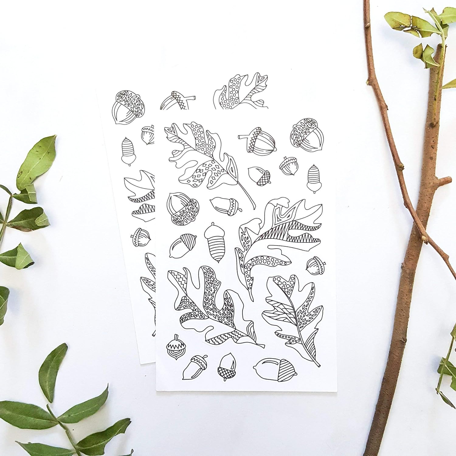 Amazon.com: Autumn Themed Adult Coloring Stickers with Oak Leaves and ...