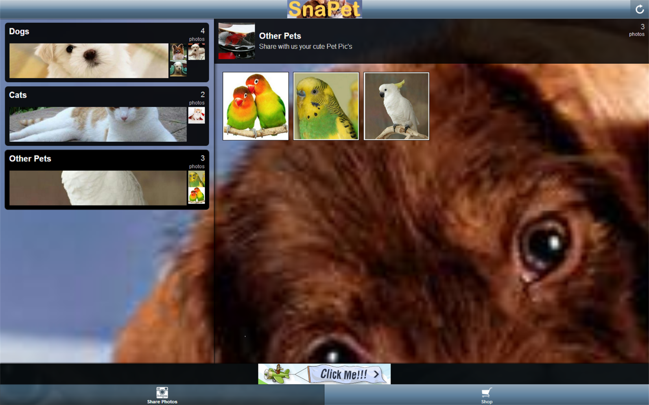 Snapet - App on Amazon Appstore