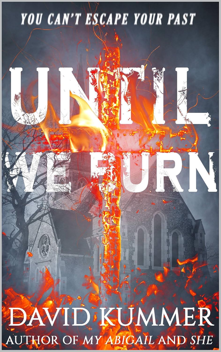 Amazon.com: Until We Burn: A Psychological Thriller eBook : Kummer ...