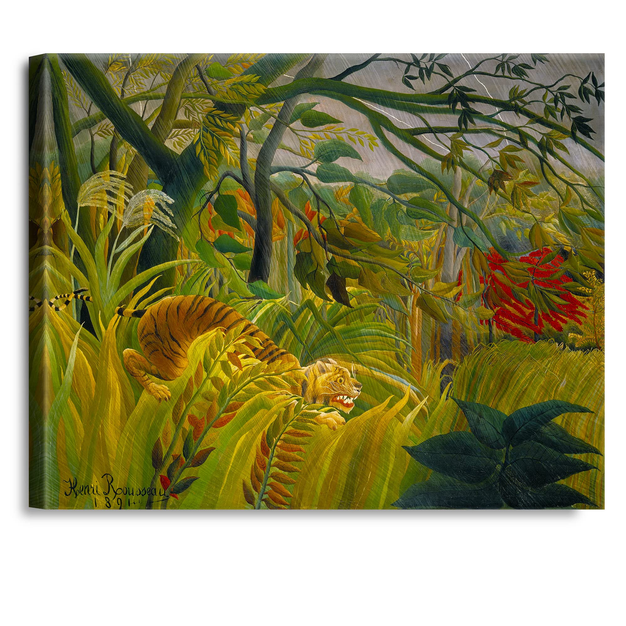 Tiger In A Tropical Storm