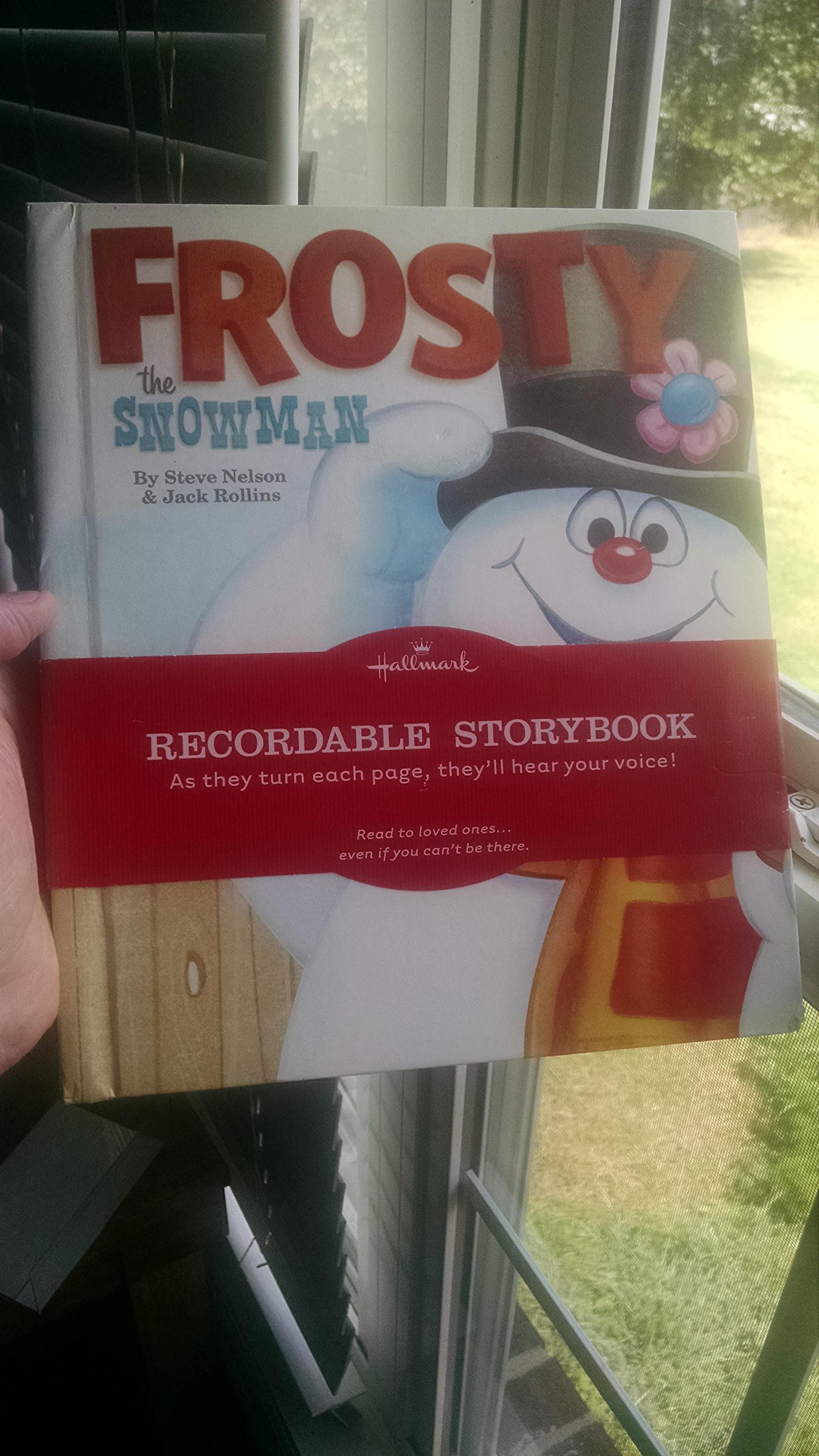 Frosty the Snowman (Hallmark Recordable Book): Steve Nelson & Jack ...