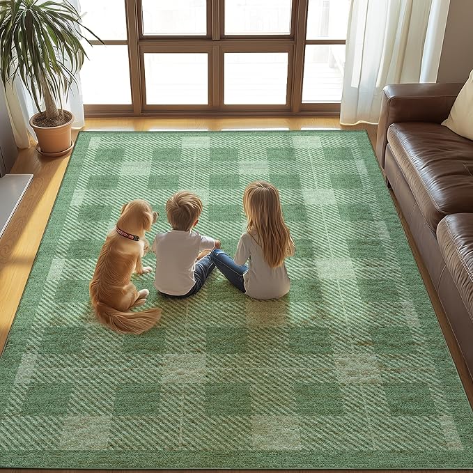 Amazon.com: Washable 5x7 Checkered Rug for Living Room, Sage Green ...