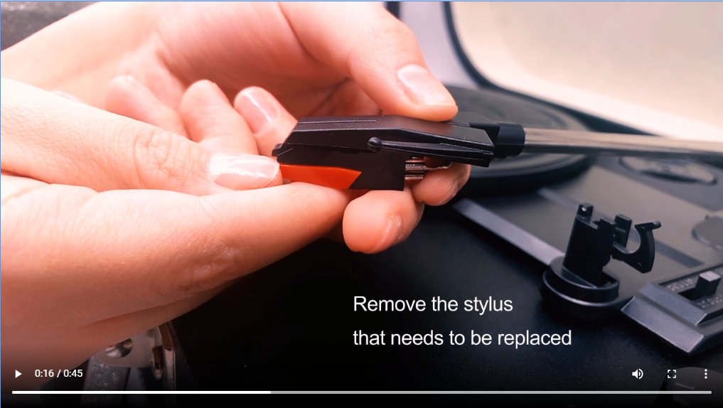 Watch Record Player Needles, 2 Pcs of Diamond Stylus on Amazon Live