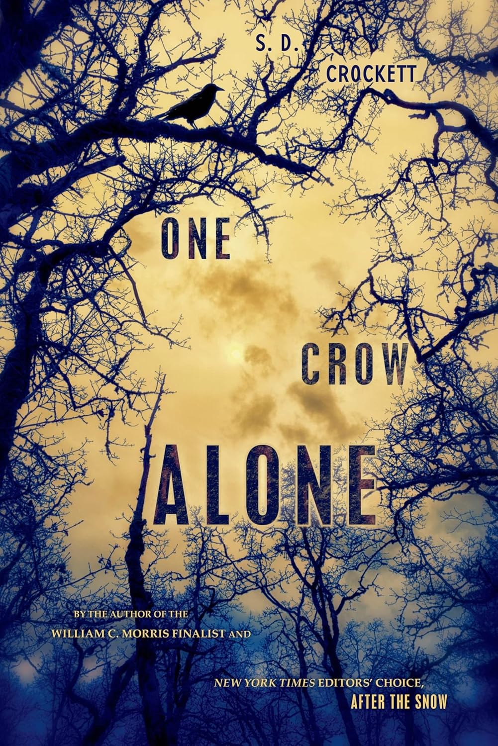 Amazon.com: One Crow Alone (After the Snow): 9781250024251: Crockett, S ...