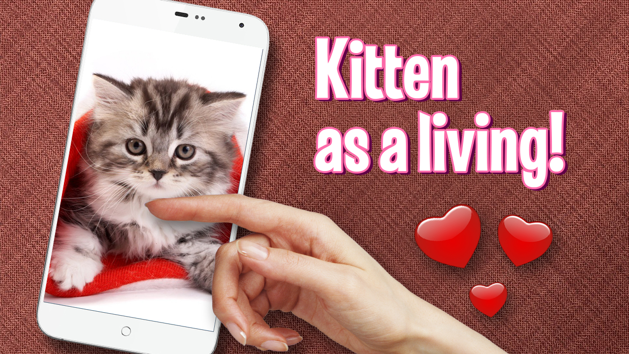Pat Cute Kitten - App on the Amazon Appstore