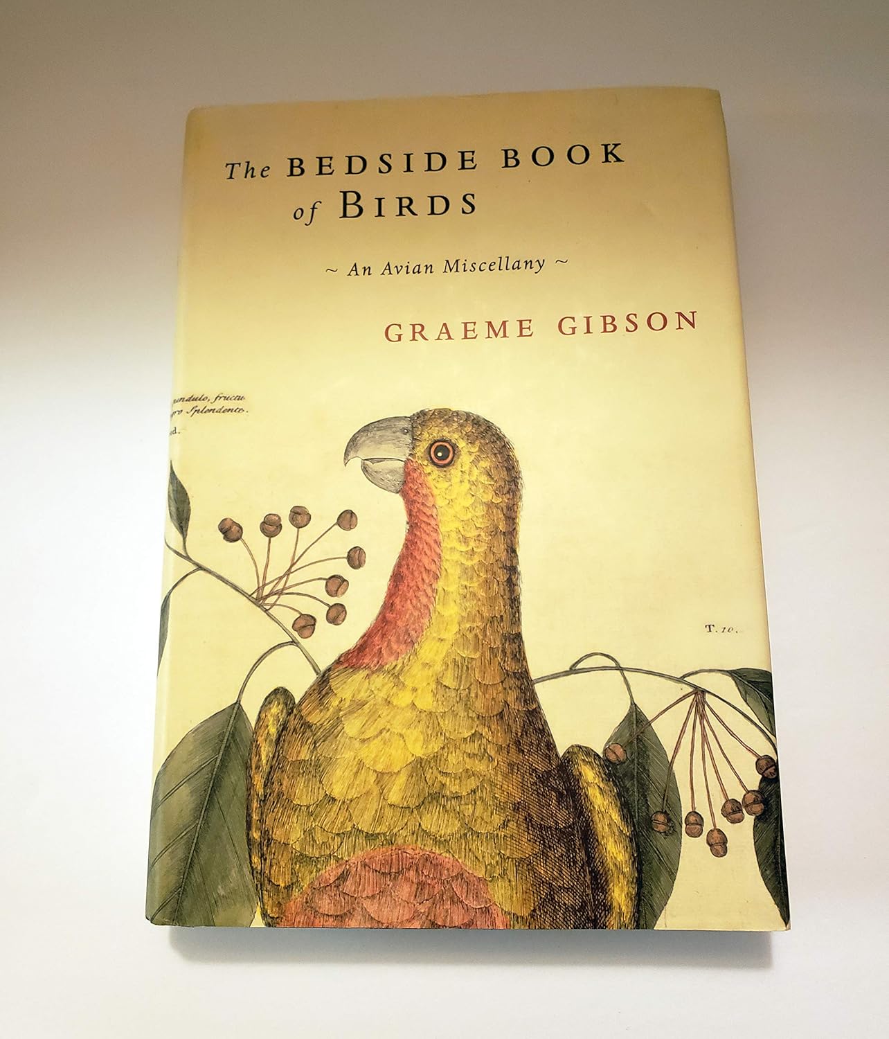 Amazon | The Bedside Book of Birds: An Avian Miscellany | Gibson ...