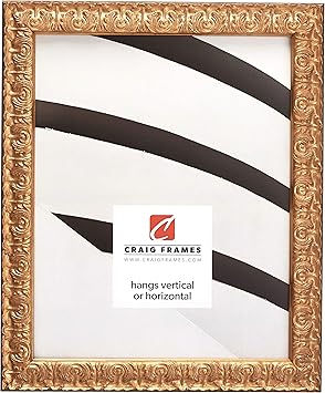 Amazon.com - Craig Frames Versailles, 19x27 Picture Frame, Ornate Gold