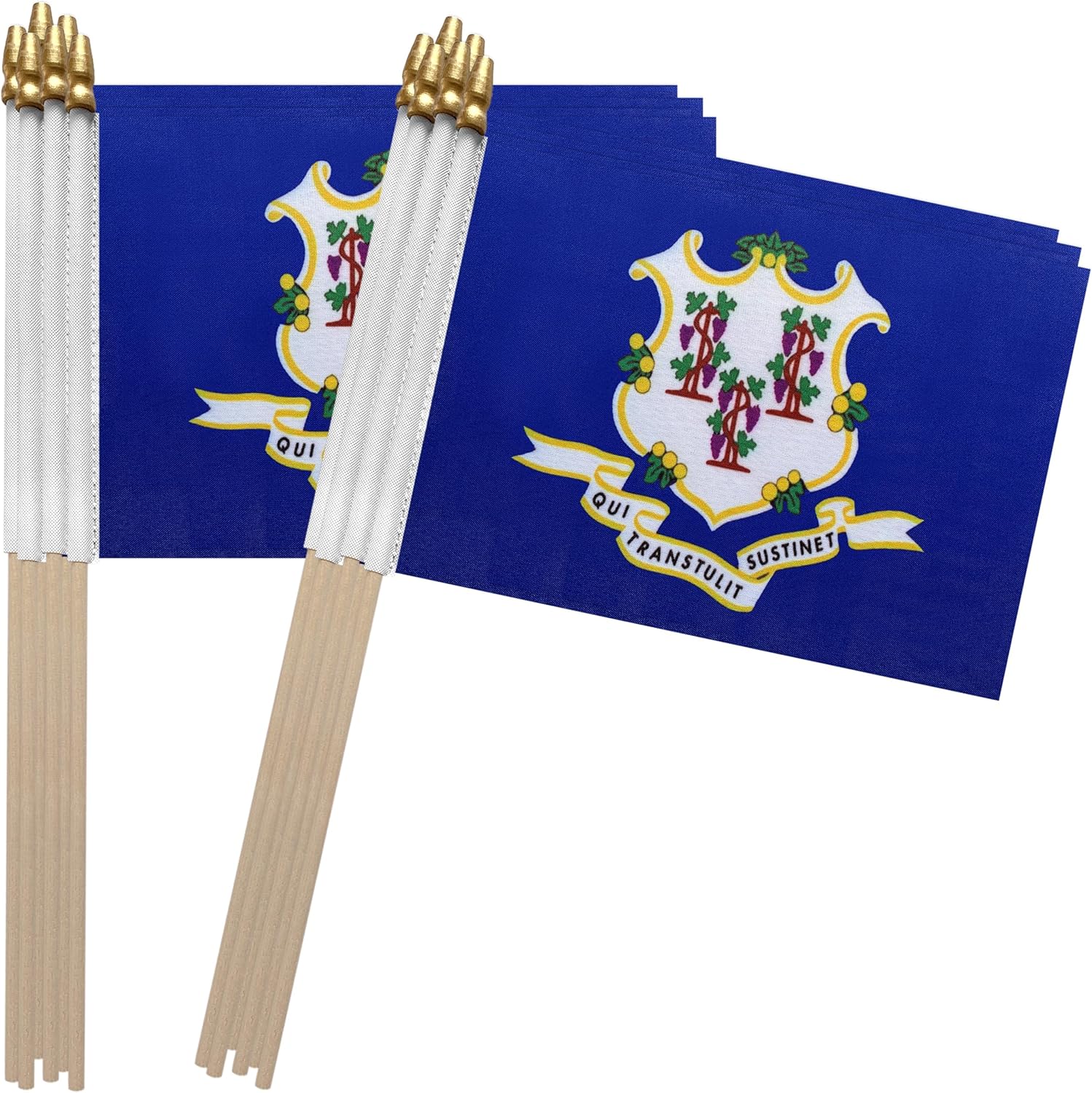 Amazon.com : TSMD Connecticut CT State Flag on Wood Stick Small Mini ...