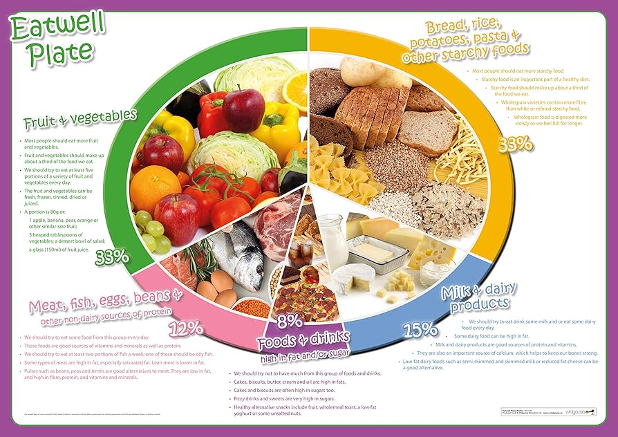 Eatwell Plate Eating Well The Eatwell Plate Main Food Groups