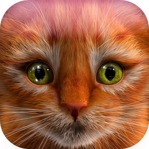 Meu gatinho (simulador de gato) - Aplicativo na Amazon Appstore