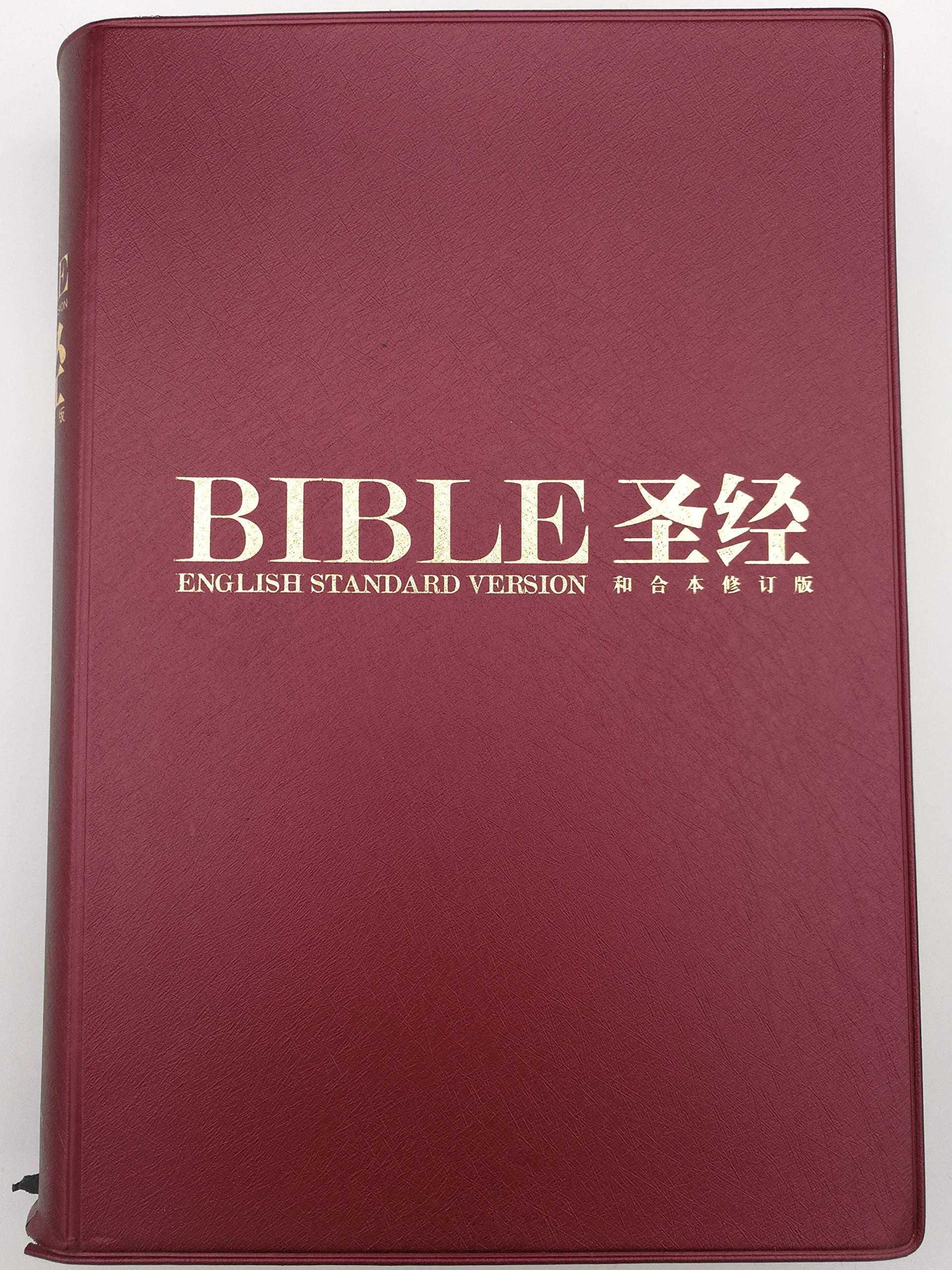 Buy Bilingual English Chinese Holy Bible / English Standard Version ...