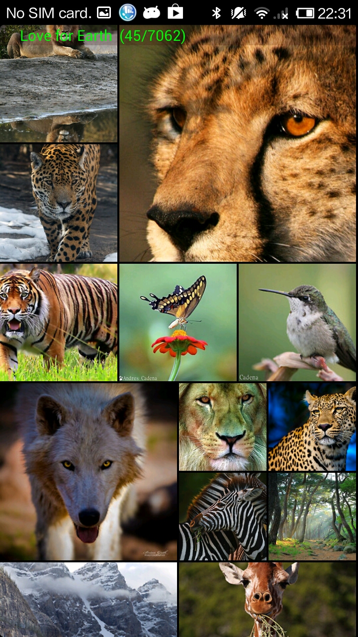 Pixall Free - App on Amazon Appstore