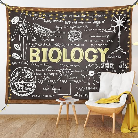 Amazon.com: Ambesonne Science Tapestry, Chalkboard Biology Hand Written ...