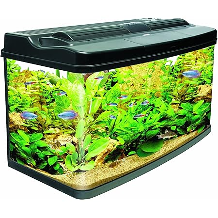 Interpet Fish Pod Glass Aquarium Fish Tank, 120 L : Amazon.co.uk: Pet ...