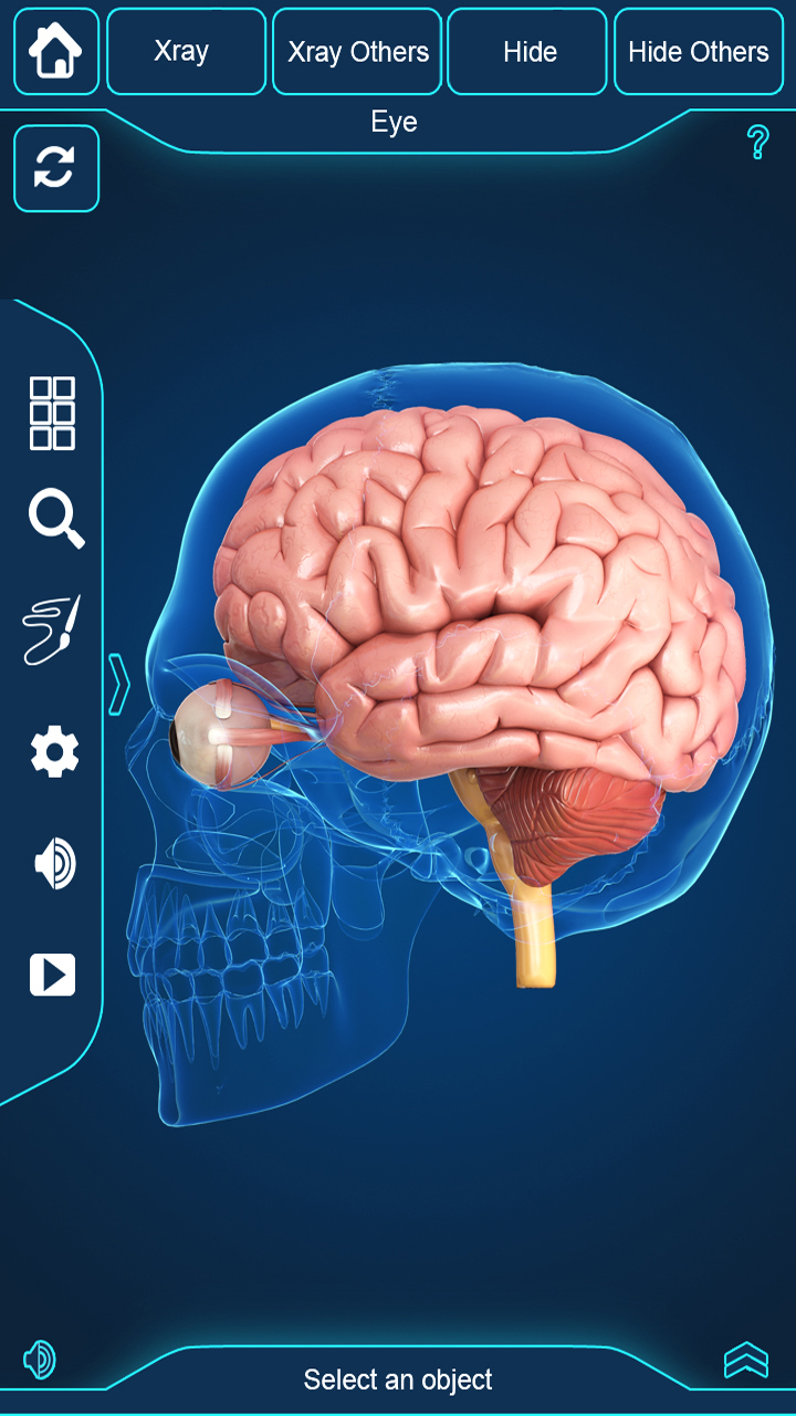 My Eye Anatomy - App on the Amazon Appstore