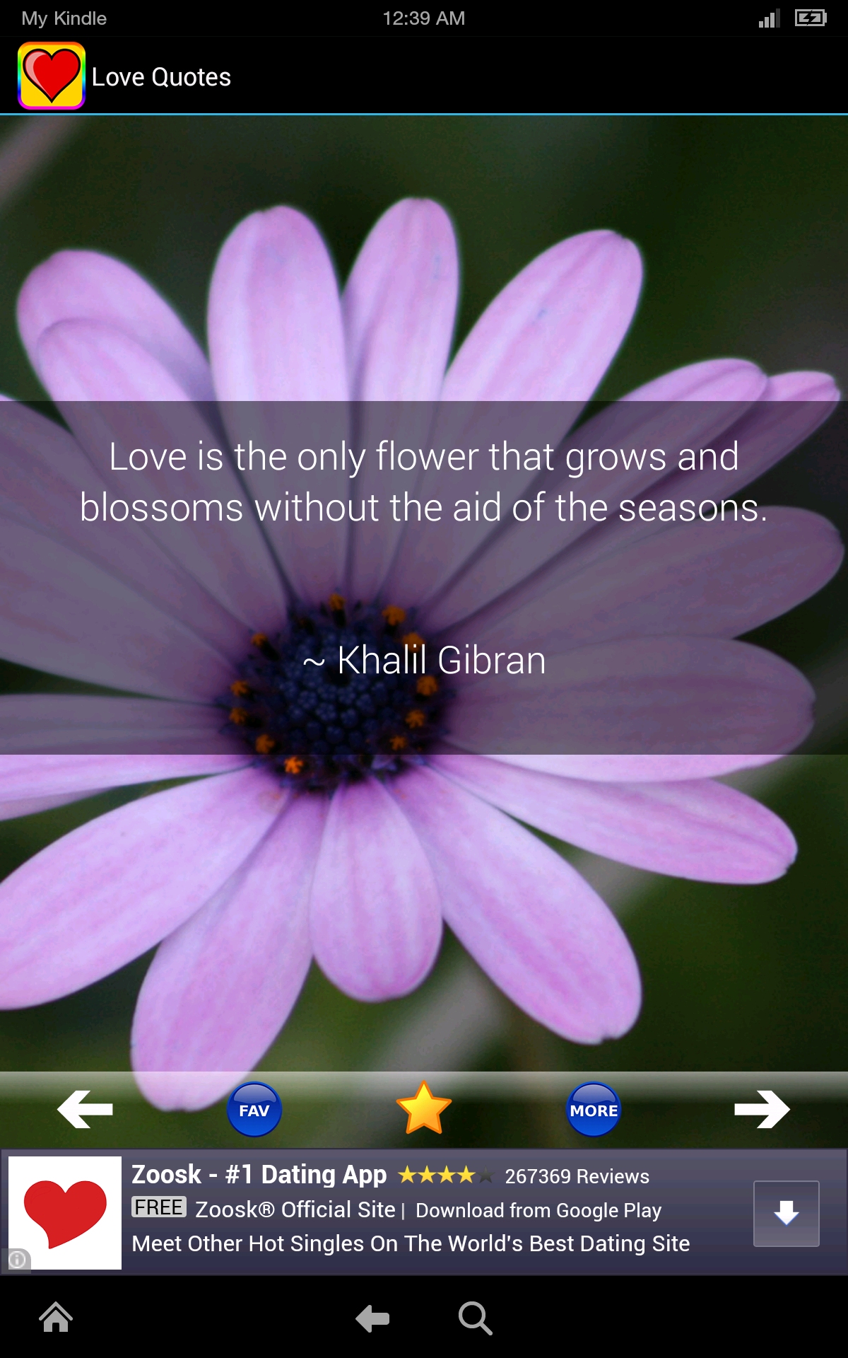 Love Quotes: Romantic Love Quotes and Famous Sayings for the Valentine ...