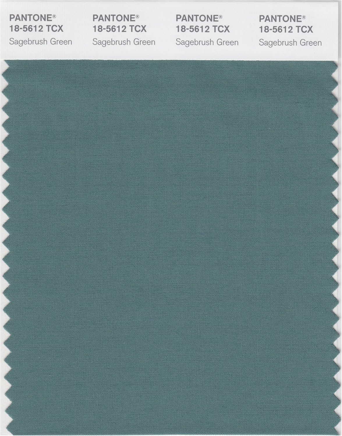 Amazon.com: PANTONE Smart 18-5612X Color Swatch Card, Sagebrush Green ...