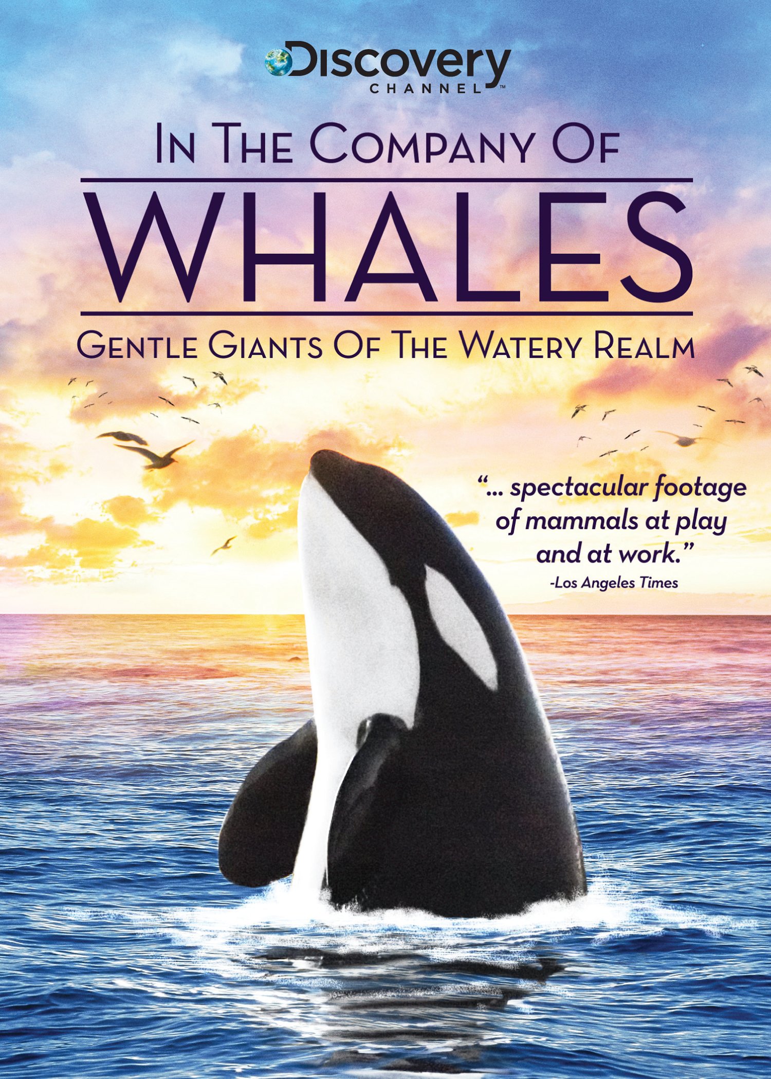 Amazon.co.jp: In the Company of Whales [DVD] : DVD