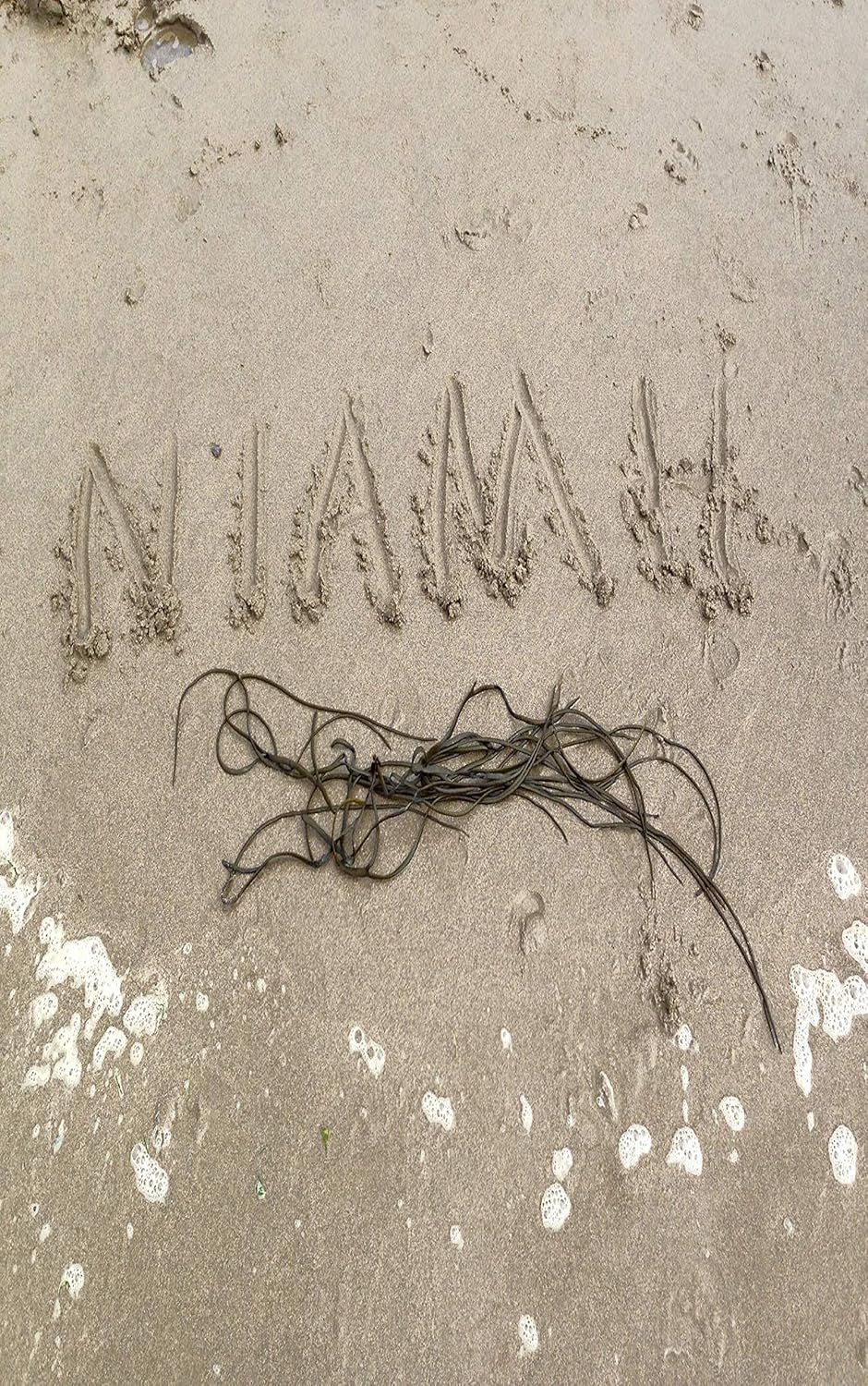 Niamh eBook : Summers, Jon: Amazon.in: Kindle Store