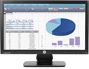 Amazon.com: HP ProDisplay P202 20 Black (Renewed) : Electronics