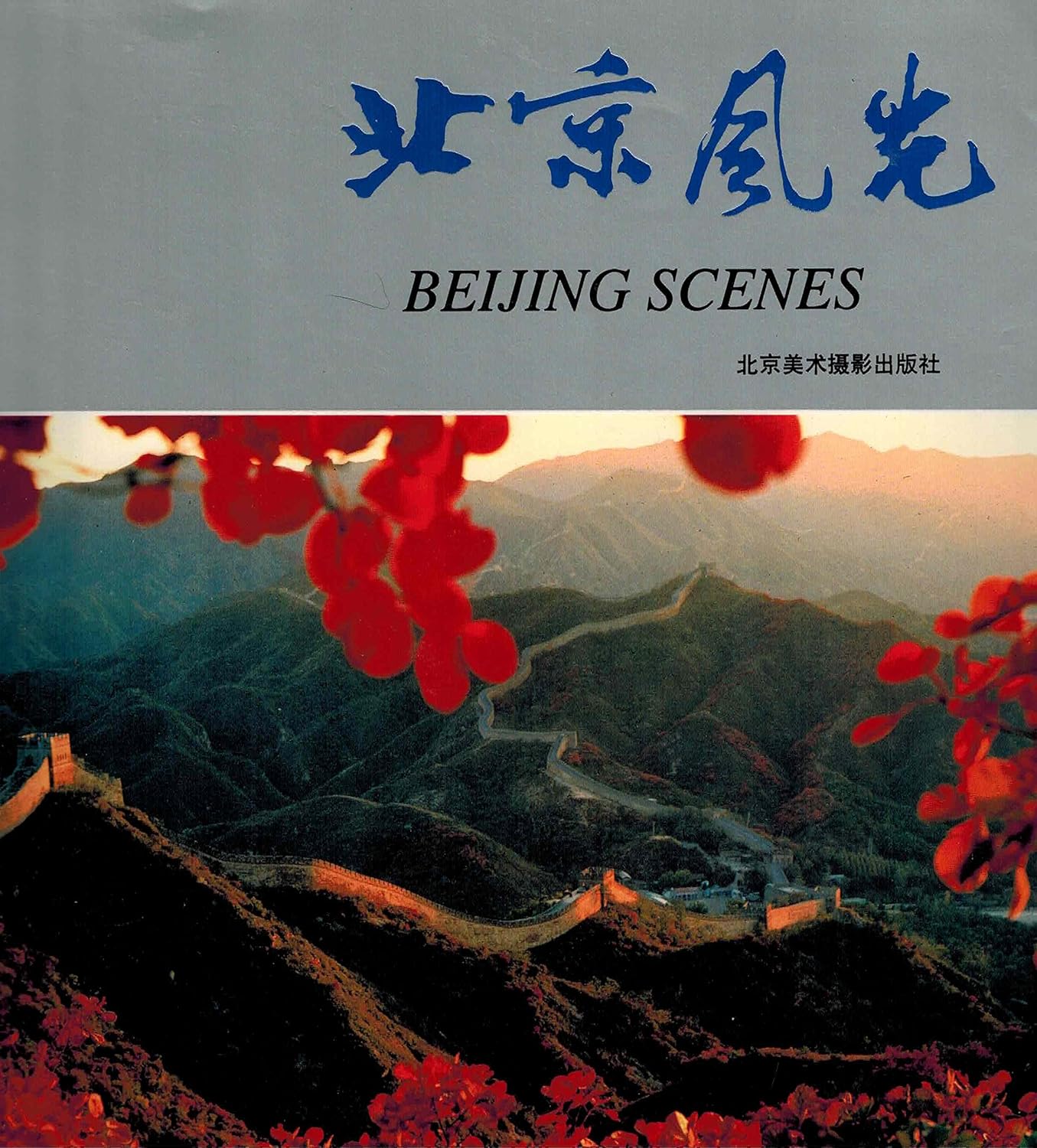 Amazon.com: Beijing Scenes: 9787805010755: Weibiao, Hu [ed in charge ...