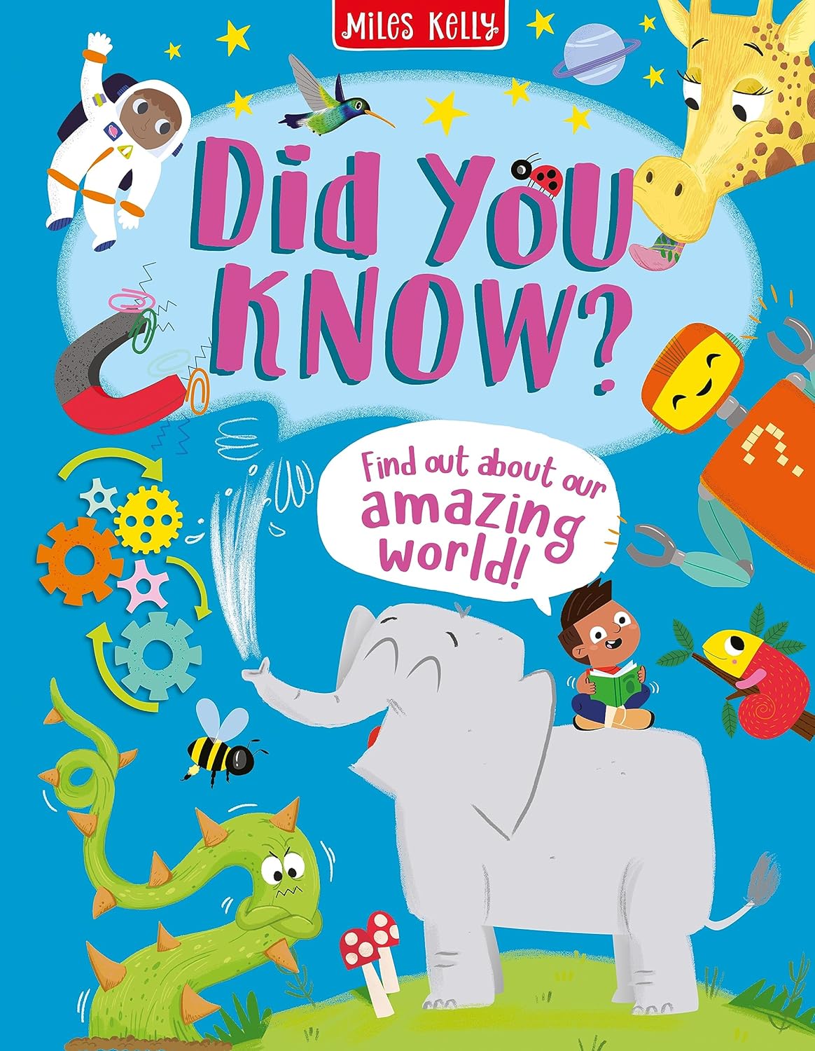 My Fun Book of Questions & Answers: Amazon.co.uk: Miles Kelly ...