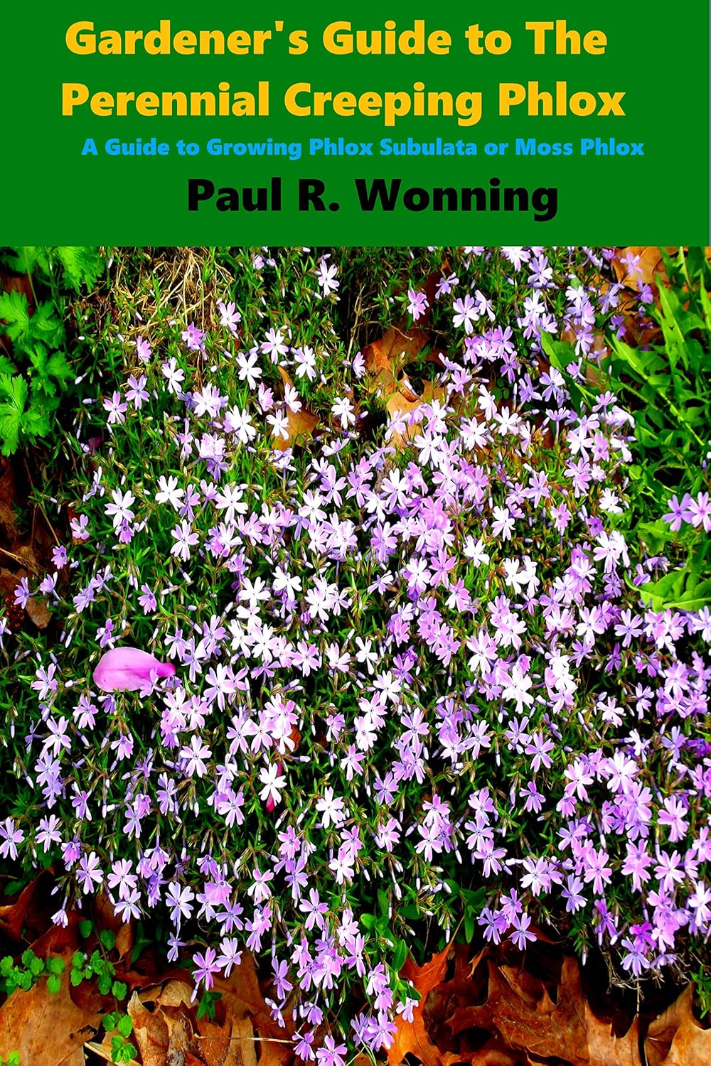 Gardener's Guide to The Perennial Creeping Phlox: A Guide to Growing ...