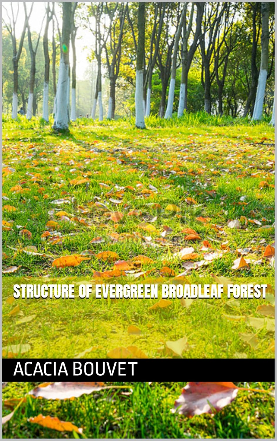 Amazon.com: Structure of Evergreen broadleaf forest eBook : Bouvet ...