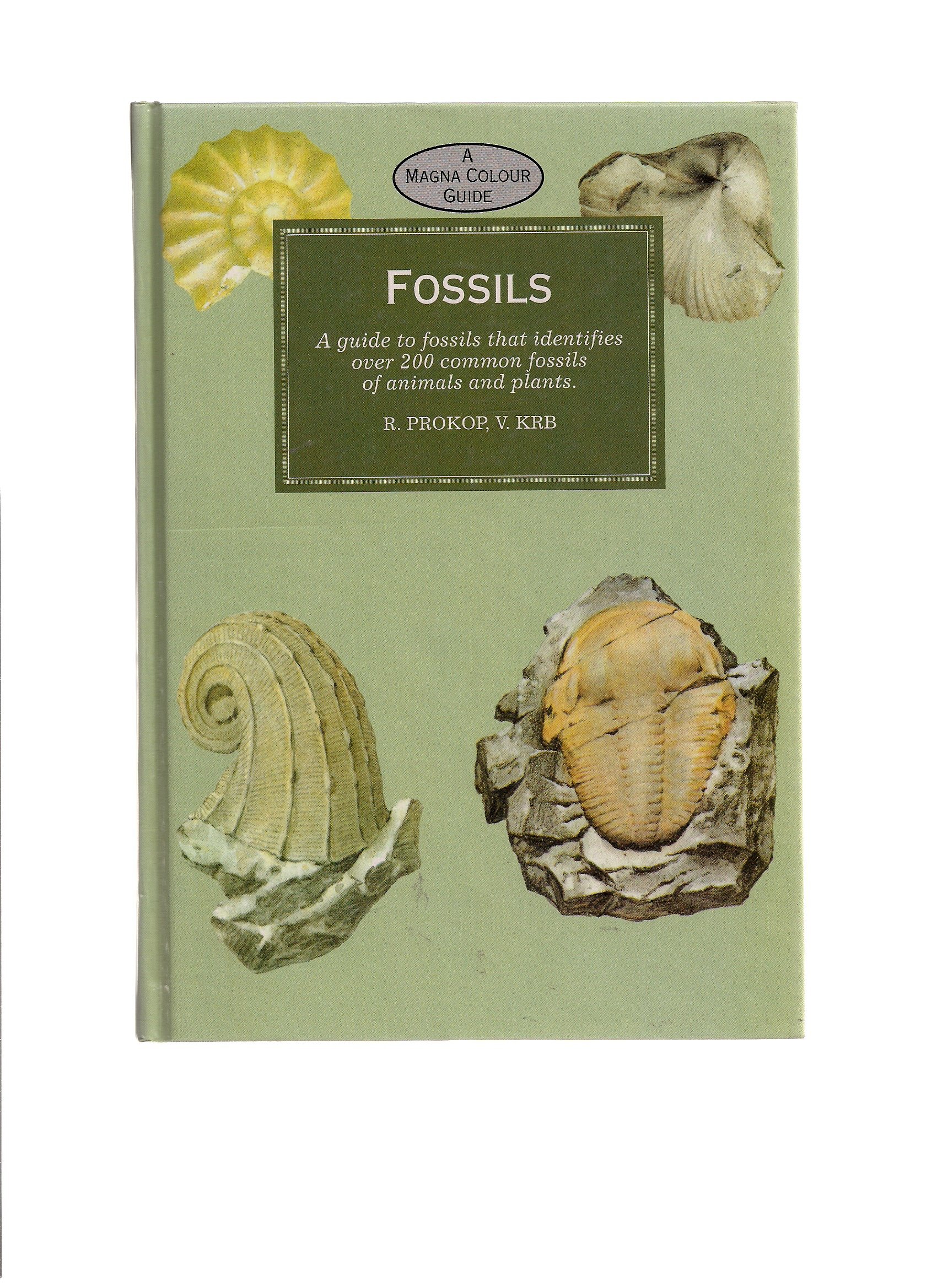 Fossils: Rudolf Prokop: 9781854228291: Amazon.com: Books