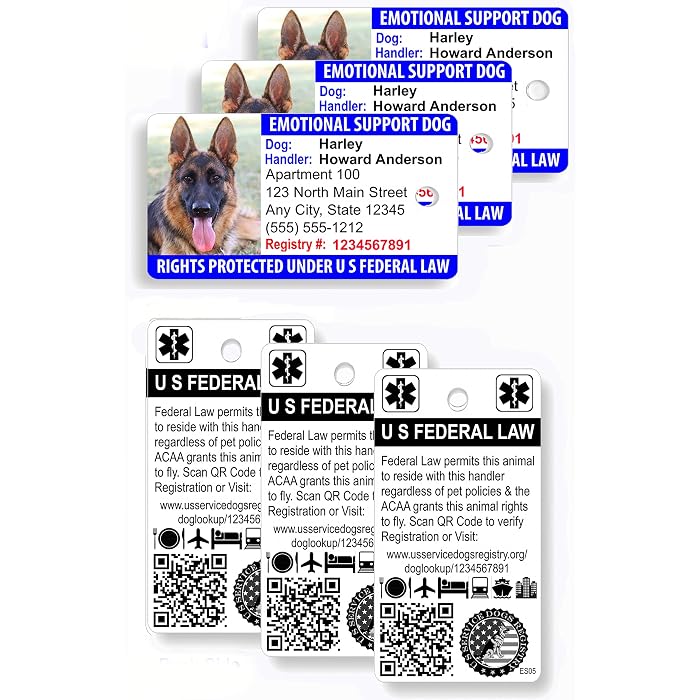 Does A Service Dog Need A Registered Tag On Them