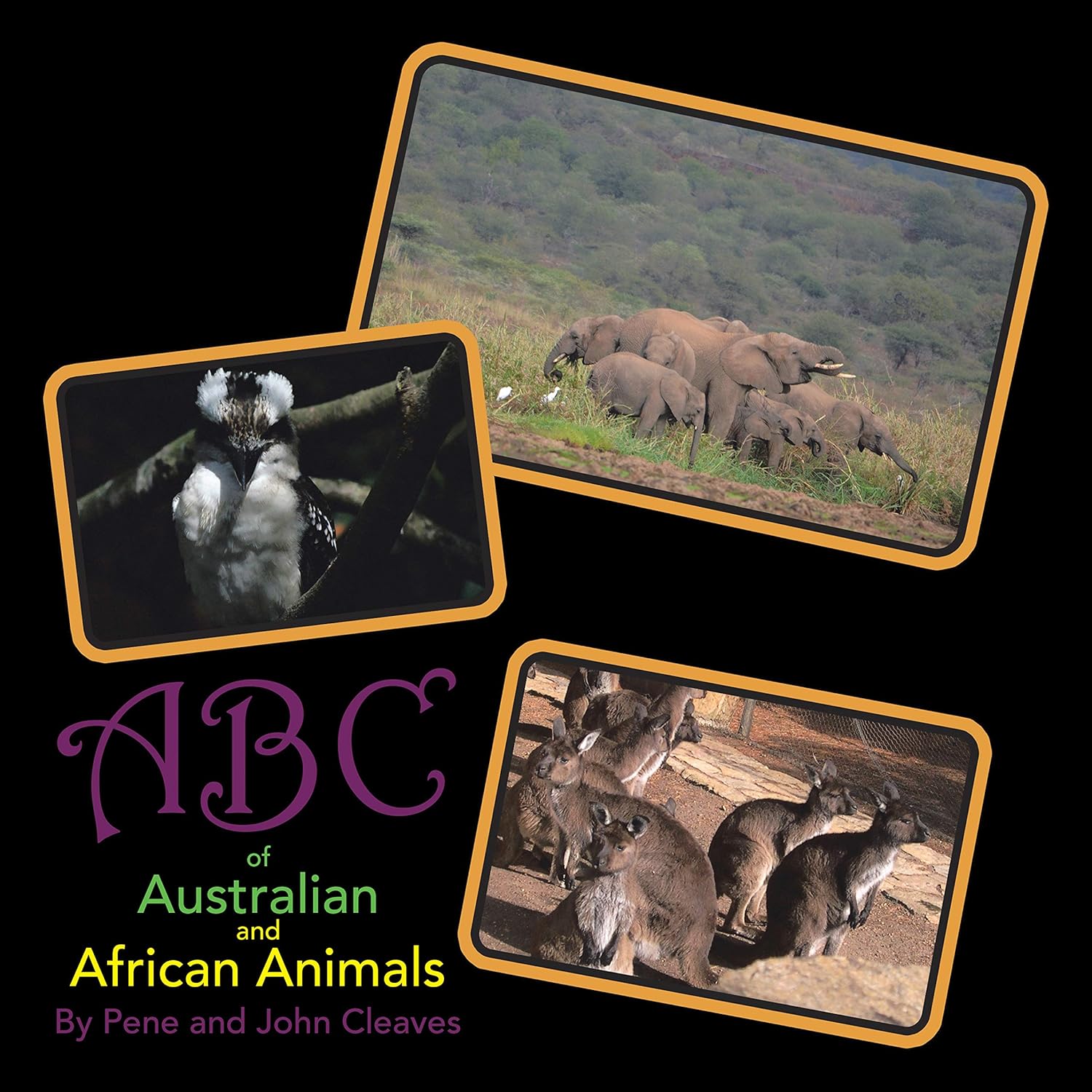 Abc of Australian and African Animals eBook : Cleaves, Pene, Cleaves ...