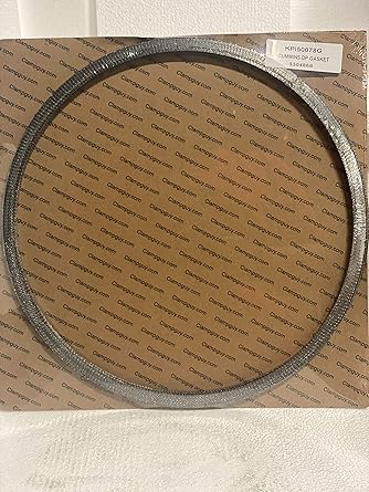 Amazon.com: 5417960 6.7 Liter ISB/QSB Engines. FIT for Cummins DPF ...