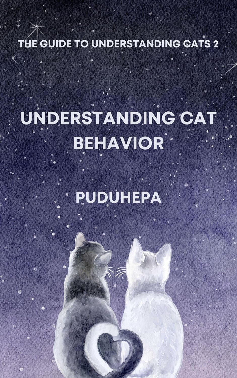 Amazon.co.jp: The Guide to Understanding Cat 2 / UNDERSTANDING CAT ...
