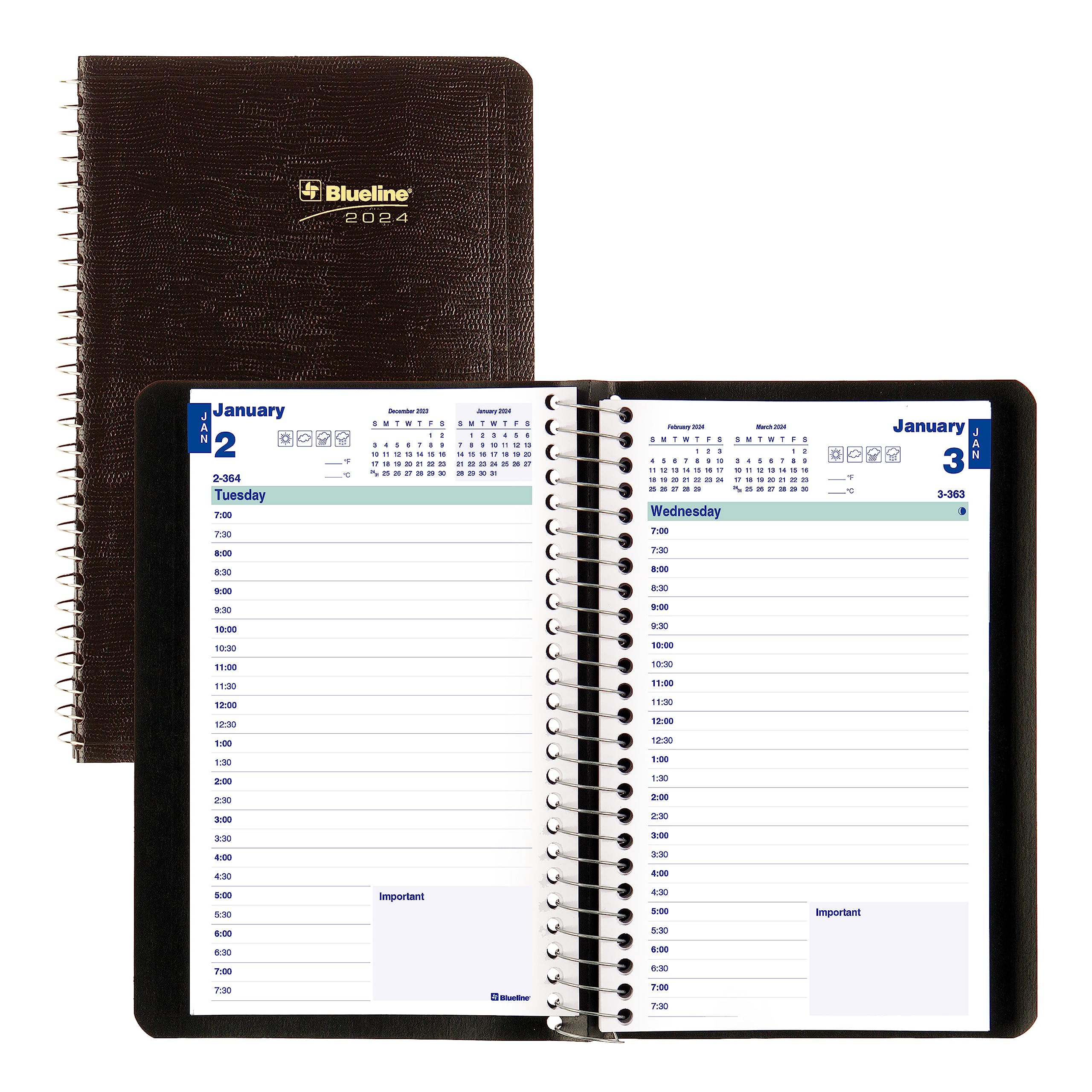 Blueline 2024 Essential Daily Planner, Appointment Book, 12 Months ...
