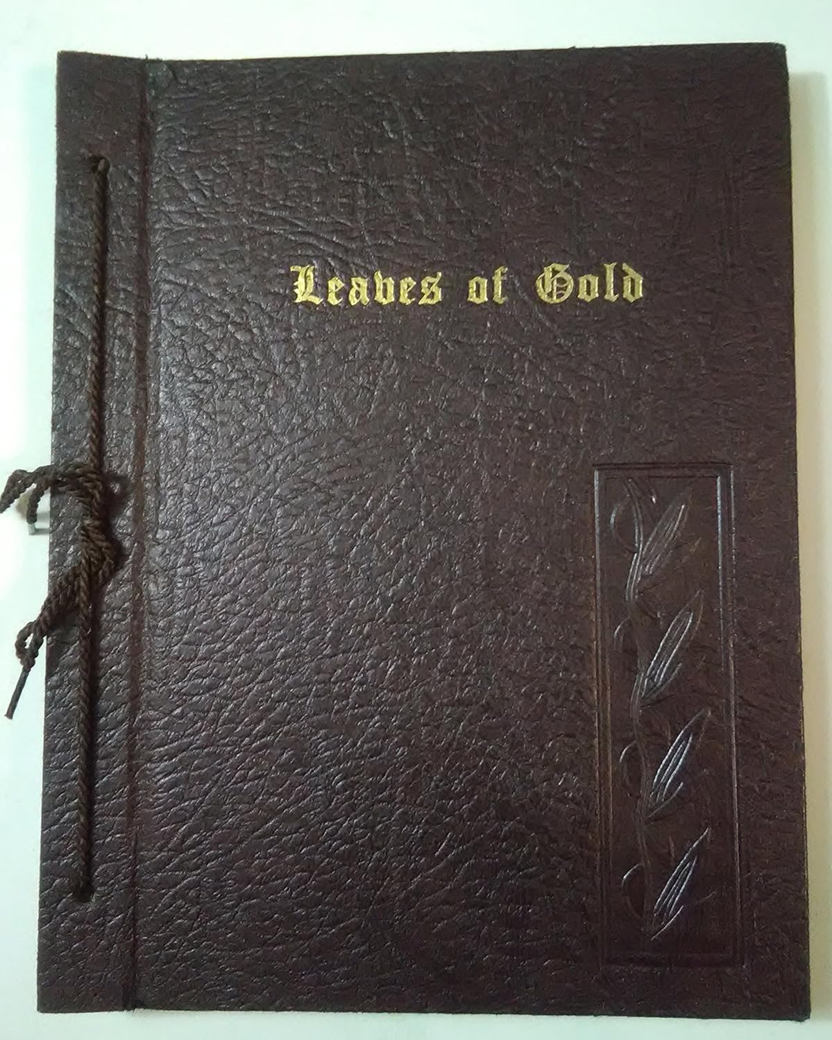 Amazon.com: Leaves of Gold: Clyde F. Lytle: Books