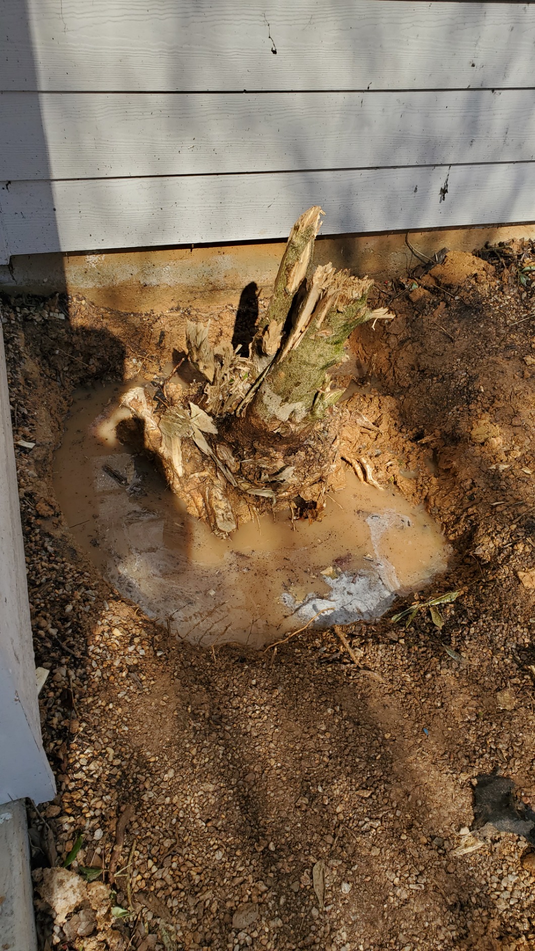 Amazon.com : B'ROOT BAR - Root Cutting Tool, Digging Tool, Vertical Axe ...