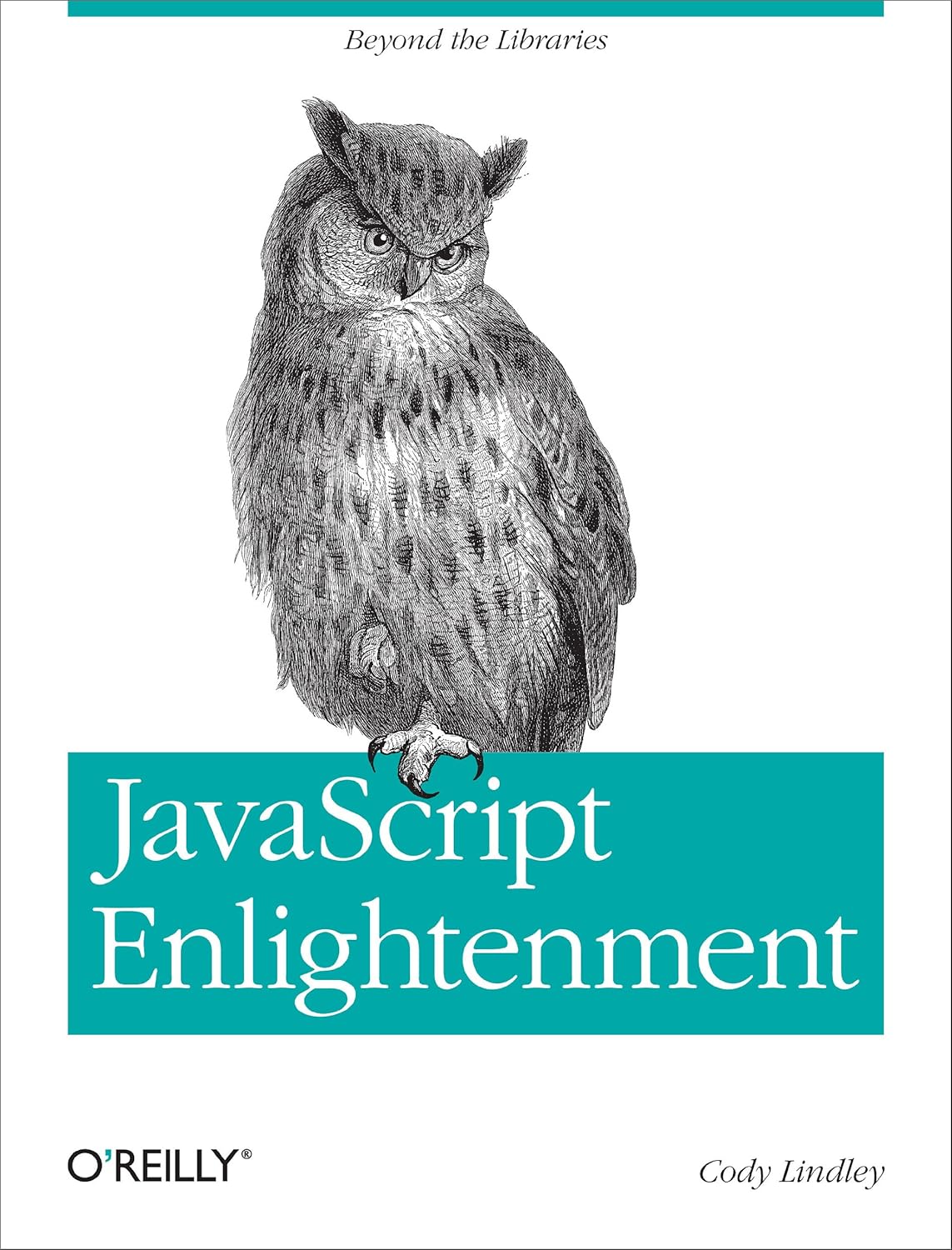 JavaScript Enlightenment: From Library User to JavaScript Developer ...
