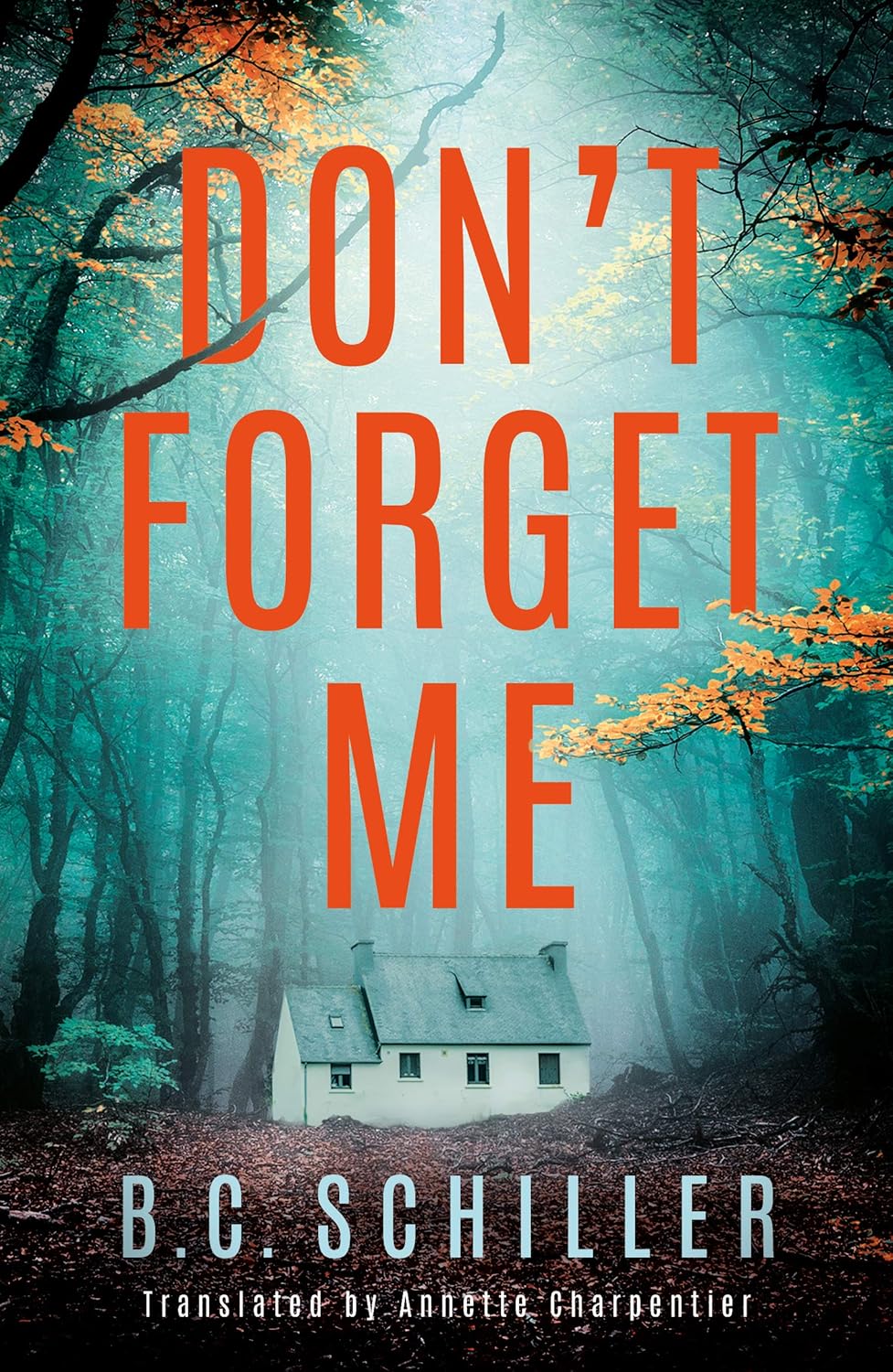Amazon.com: Don't Forget Me (Levi Kant Book 1) eBook : Schiller, B.C ...