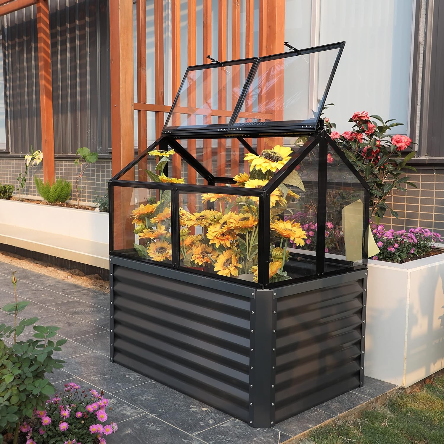 Amazon.com : HN HOLD NATURE Mini Greenhouse for Backyard - 47 Inch ...
