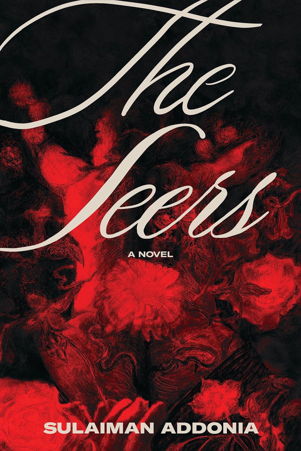 The Seers: Addonia, Sulaiman: 9781566897211: Amazon.com: Books