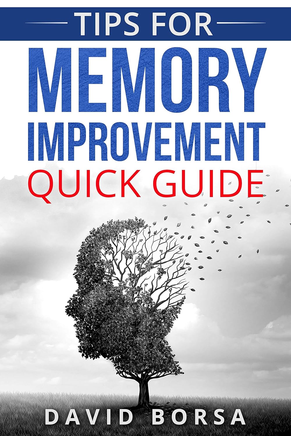 Tips for Memory Improvement Quick Guide eBook : Borsa, David: Amazon.co ...